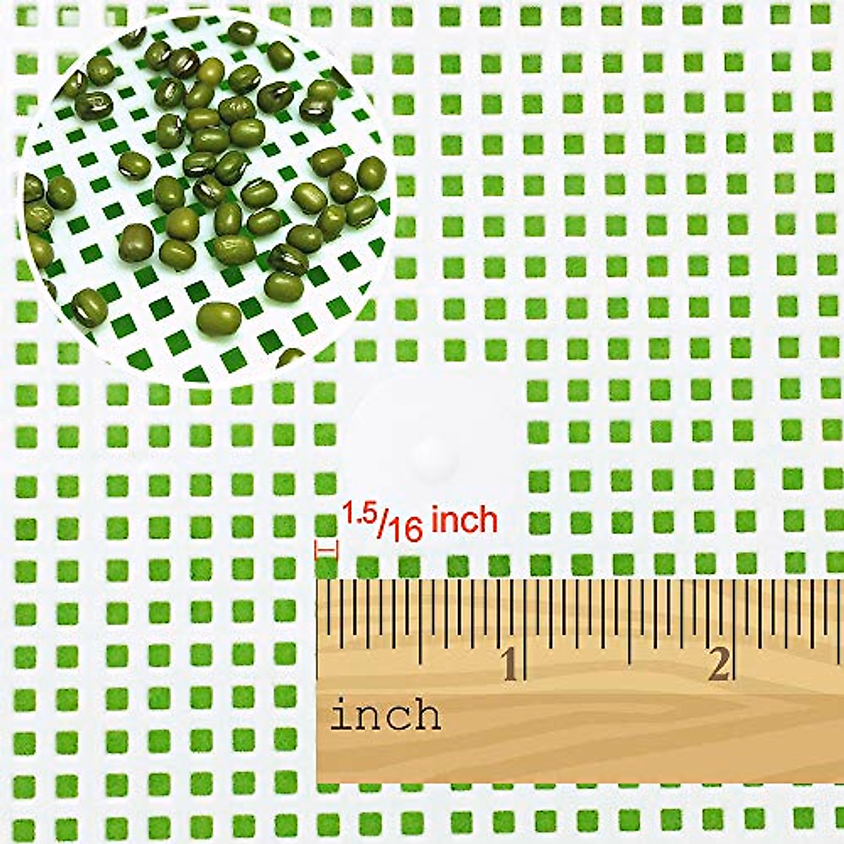 LeJoy Garden Seed Sprouter Tray BPA Free PP Soil-Free Big Capacity Healthy Wheatgrass Grower with Lid Sprouting Kit 13.4x9.84x4.72 inches(LxWxH)