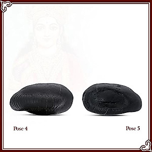 Vedic Vaani Sacred Varaha Lakshmi Laxmi Shankhu Shaligram Shila (Pack of 4)