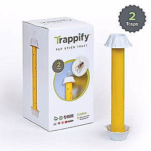 Trappify Hanging Fly Traps Outdoor: Fruit Fly Traps for Indoors | Fly Catcher, Gnat, Mosquito, & Flying Insect Catchers for Inside Home - Disposable Sticky Fly Trap for Indoor House Pest Control (2)