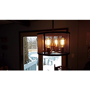 Rolay 6 Pack, 25 Watt Vintage Edison Light Bulb with Squirrel Cage Filament, 110~130 Volts, E26 Base