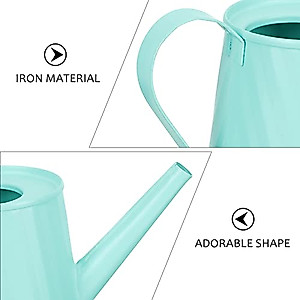 Happyyami Succulent Kettle Flowerpot Flowers Decoration Metal Pitcher Kids Mini Toys Flower Water Pot Mini Watering Can Small Watering Can Kettle for Watering Gardening Tool Kids Toy Plant