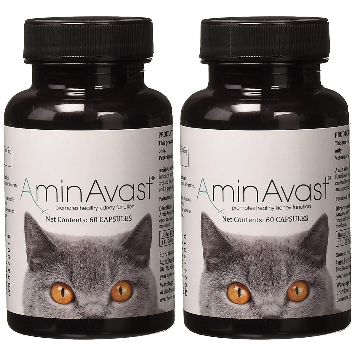 AminAvast Kidney Support Supplement for Cats and Small Dogs, 300mg 2-Pack - Promotes Natural Kidney Function - Aids in Health and Vitality of Aging Kidneys - Easily Administered - 60 Sprinkle Capsules