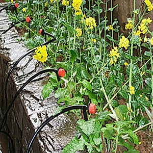 Koleso 25m 4/7mm Irrigator Dripper Hose Kits DIY Micro Drip Irrigation System 30 Drip Nozzles Garden Watering