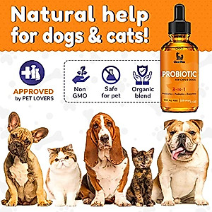 Probiotics for Dogs - Cat Probiotic - Great Dog Probiotics and Digestive Enzymes for Pet - Dog Digestive Enzymes & Pure Prebiotic - Canine Probiotic - Probiotics for Cats - Puppy Probiotic