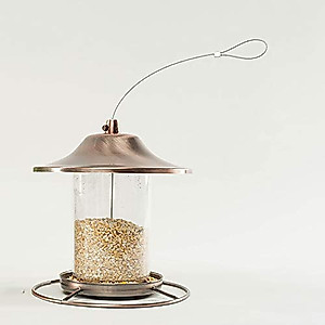 Wagner's 18542 Cracked Corn Wild Bird Food, 10-Pound Bag