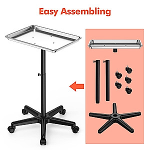 TASALON Budget Salon Tray on Wheels, Adjustable Height Premium Aluminum Tattoo Rolling Tray, Beauty Instrument Salon Rolling Tray Table with Wheels, Salon Cart for Hair Stylist Medical Dental Tray