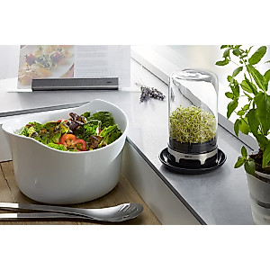 SPROUTING JAR (Black)