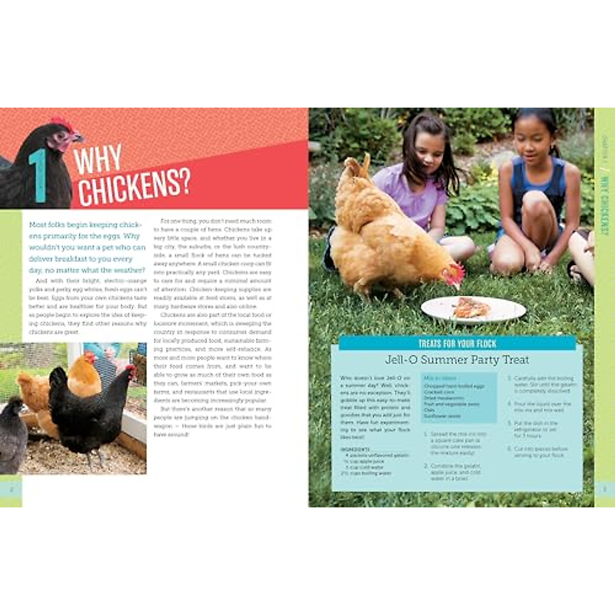 A Kid's Guide to Keeping Chickens: Best Breeds, Creating a Home, Care and Handling, Outdoor Fun, Crafts and Treats