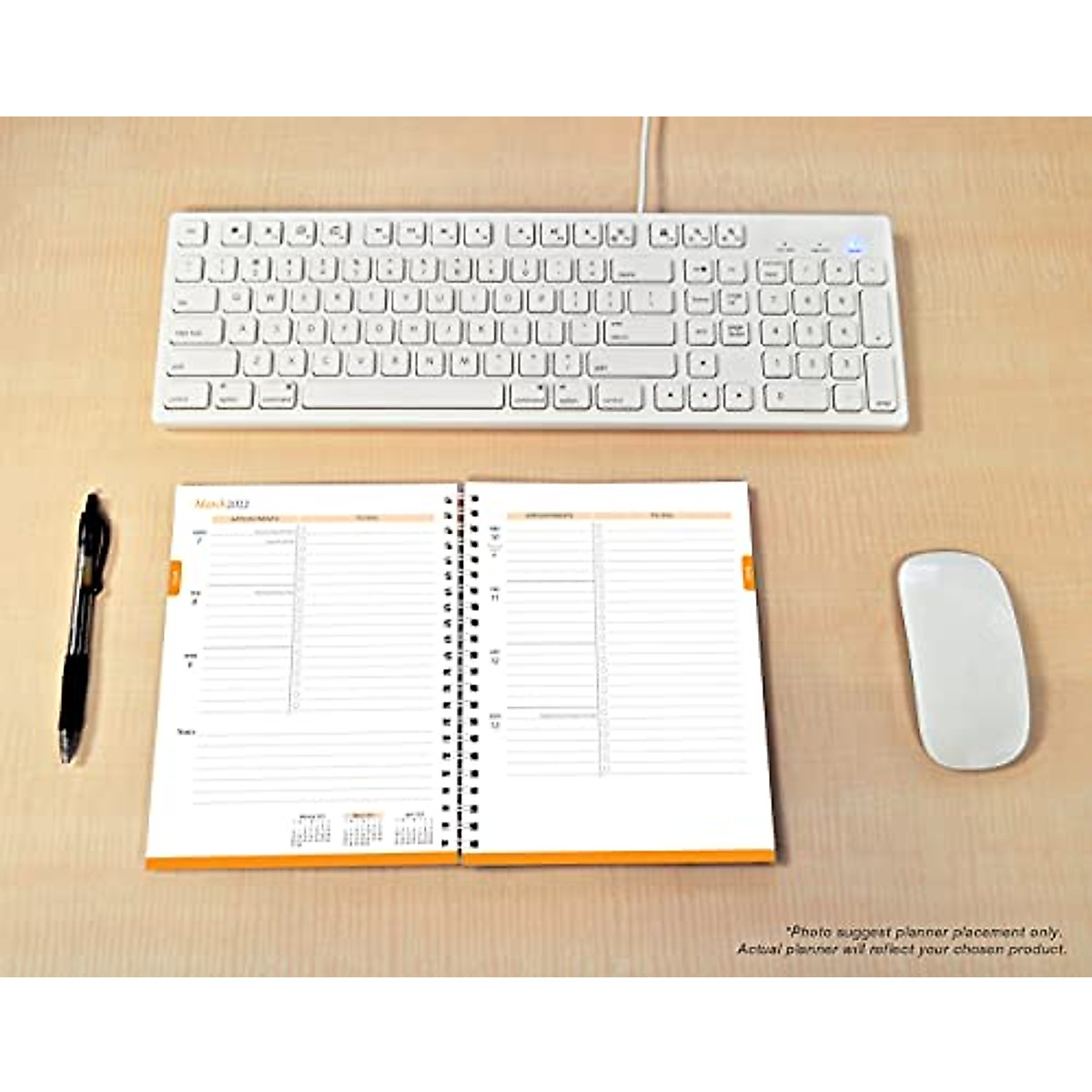 Happy Hues 2022 6 x 7.75 Inch Weekly Desk Planner by Plato, Fashion Designer Stationery