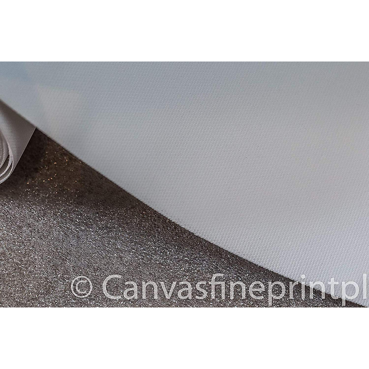 Paul Cezanne Dahlias in Flower Vase ~ FINE ART CANVAS PRINT Paintings Oil Painting Original Drawing Poster Photo Wall (10x14inch NO Framed)