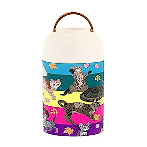 CUPADA Cute Cats Kittens Food Jar, Colorful Stripes Insulated Hot Food Jars Vacuum 17OZ with Folding Spoon for Work Trip Picnic Camping