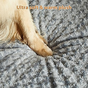 LNSSFFER Washable Dog Beds for Medium Dogs, Orthopedic Dog Sofa Bed with Removable Cover & Waterproof Lining, Washable Pet Couch Bed with Side, Memory Foam Dog Bed for Medium Dog & Cat Sleeping, Grey