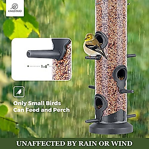 Kingsyard 2 Pack Tube Feeders with 6 Feeding Ports for Outdoors Hanging, Premium Hard Plastic Weatherproof & Steel Hanger, Attracting for Wild Birds (Black)