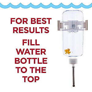 Kaytee Flat-Bac Water Bottle for Pet Guinea Pigs, Dwarf Rabbits, Rats, and Chinchillas, 16 oz