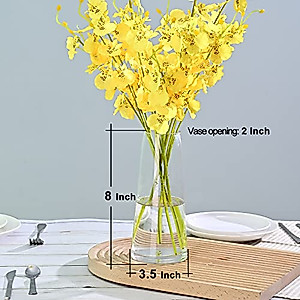 WellSign Clear Glass Vases for Flowers Decor, 8 Inch Modern Ins Boho Handmade Vases for Centerpiece Table Home Indoor Decor, Ins Boho Style Vase for Wedding Housewarming and Thanksgiving Day Gift