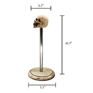 Rustic White Wood Skull Paper Towel Holder Stand Up Paper Towel Holder, Easy One-Handed Tear Kitchen Paper Towel Dispenser with Weighted Base for Standard Paper Towel Rolls ,Rustic White