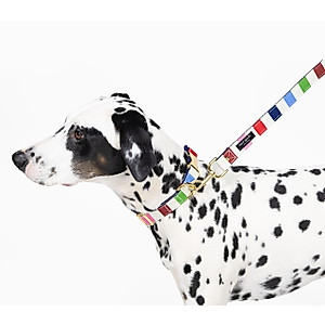 kate spade new york Cute Dog Collar with Gold Metal Details & Plastic Buckle, 15" to 22" Adjustable Dog Collar for Female or Male Dogs, Medium/Large, Adventure Stripe