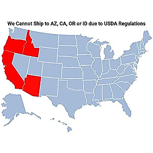 Brighter Blooms - Dwarf Red Delicious Apple Tree, 5-6 Ft. - A Supermarket Favorite, Grown at Home - No Shipping to AZ, ID, OR, or CA