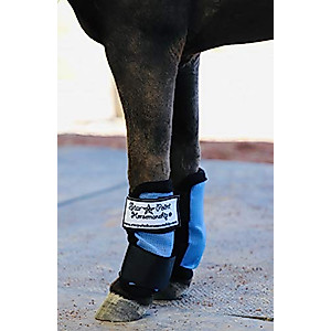 Star Point Mini-Pony Fly Boots (Teal Set of 4)