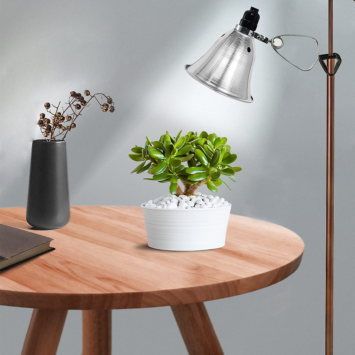 EP Clamp Lamp Light with Detachable 5.5 Inch Aluminum Reflector, 60 Watt E26 Socket (No Bulb Included), 6 Foot 18/2 SPT-2 Cord Cord, 2 Pack