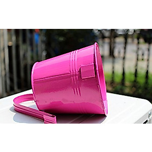 Flower Pots,10 Pcs Metal Iron Hanging Flower Plant Pots Balcony Garden Plant Planter Baskets Fence Bucket Pots 3.94'' Flower Holders with Detachable Hook