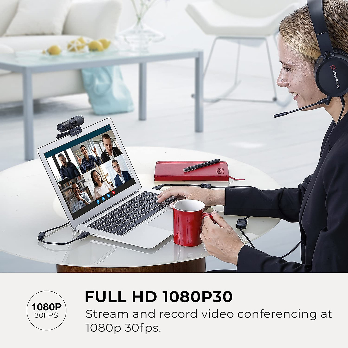 AVerMedia Live Streamer Cam 313 - Full HD 1080P Webcam with Privacy Shutter, Dual Microphone, 360 Degree Swivel for Video Conference - NDAA Compliant (PW313)