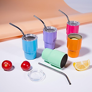REFARICO 6 Pack 3oz Mini Tumbler Shot Glasses with Straw and Lid Stainless Steel Colored Sublimation Tumblers Double Wall Vacuum Insulated Cups for Party, Birthday's Day-Multicolor