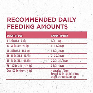 Purina ONE Natural, Sensitive Stomach Dry Dog Food, +Plus Skin & Coat Formula - 16.5 lb. Bag