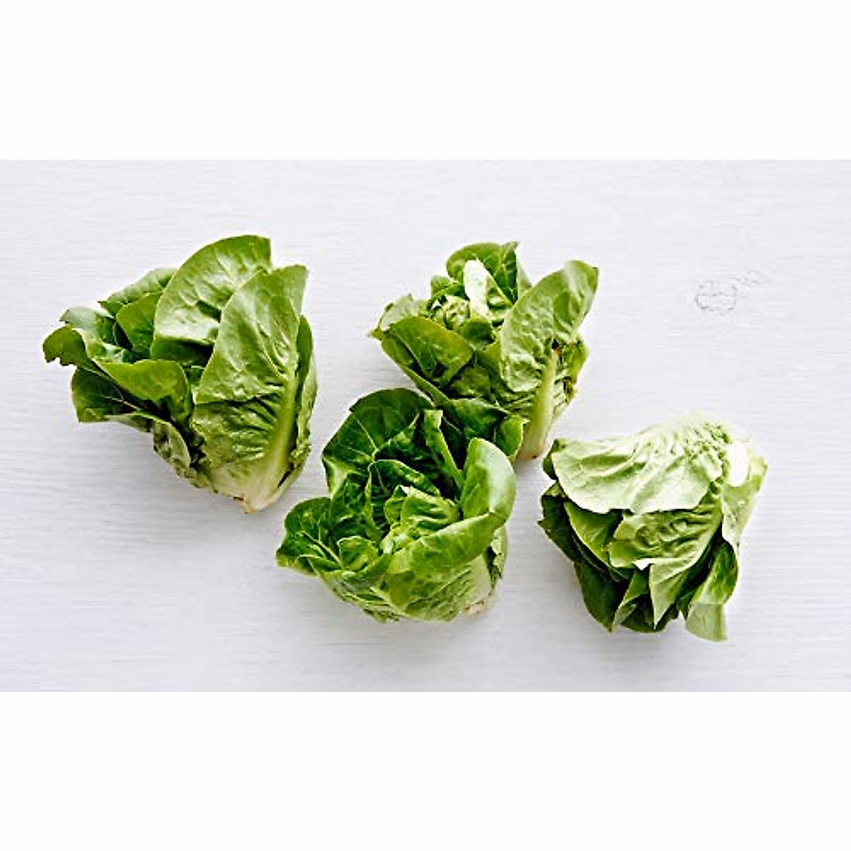 "Little Gem" Butterhead Lettuce Seeds for Planting, 1000+ Heirloom Seeds Per Packet, (Isla's Garden Seeds), Non GMO Seeds, Scientific Name: Lactuca Sativa, Great Home Garden Gift