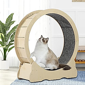AURGOD Cat Exercise Wheel Indoor, Cat Treadmill with Locking Mechanism, TPE Noiseless Roller, Cute Cat Running Wheel for Pet Loss Weight and Daily Exercise