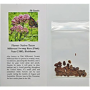 David's Garden Seeds Flower Native Texas Milkweed Swamp Rose 4523 (Pink) 50 Non-GMO, Heirloom Seeds