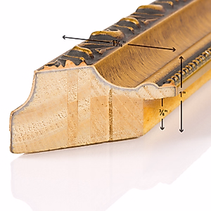 Craig Frames Ancien Ornate, 20 x 24 Inch Antique Gold Picture Frame Matted to Display a 16 x 20 Inch Photo