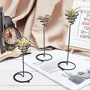 AHANDMAKER 6 Packs Airplant Planter Holder, 3 Sizes Air Plant Container Tillandsia Holder for Displaying Small Air Plant, Home Office Desktop Decoration