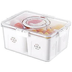 Lnrueg Airtight Fresh Produce Containers for Fridge - 4 Compartments with Handle, Berry Containers for Fridge, BPA-Free Fresh Produce Saver & Refrigerator Organizer Bins