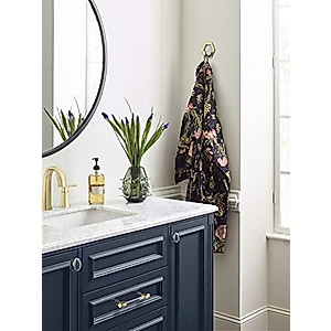 Amerock HBX37015BBZ | Prismo Single Prong Decorative Wall Hook | Golden Champagne Hook for Coats, Hats, Backpacks, Bags | Hooks for Bathroom, Bedroom, Closet, Entryway, Laundry Room, Office