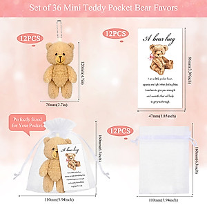 Zhanmai Set of 12 Mini Plush Bears Gift Little Pocket Bear Inspirational Bear Hug Gift Card Organza Bags for Party Favors Stocking Suffers for Class