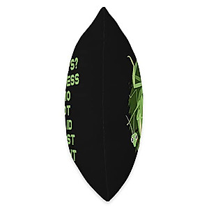 Praying Mantis Gifts & Accessories Sup Guys Guess Who Got Laid Last Night-Praying Mantis Throw Pillow, 16x16, Multicolor