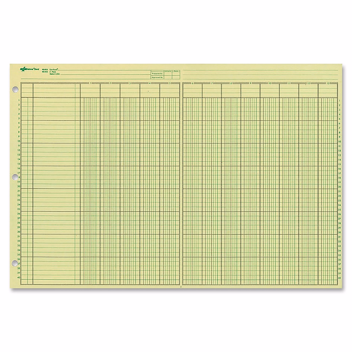 NATIONAL Analysis Pad, 13 Columns, Green Paper, 11 x 16.375", 50 Sheets (45613)