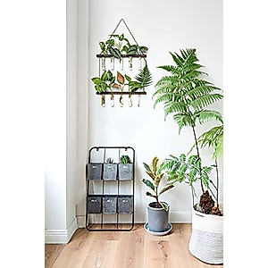 Mkono Plant Propagation Tubes, 2 Tiered Wall Hanging Plant Terrarium with Wooden Stand Mini Test Tube Flower Vase Glass Planter for Hydroponic Plant Cutting Home Garden Office Decor Plant Lover Gift