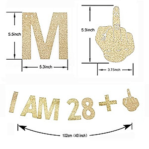 Morndew Gold Gliter I AM 28+1 Paper Banner for 29th Birthday Party Sign Backdrops Funny/Gag 29 Bday Party Wedding Anniversary Celebration Party Retirement Party Decorations