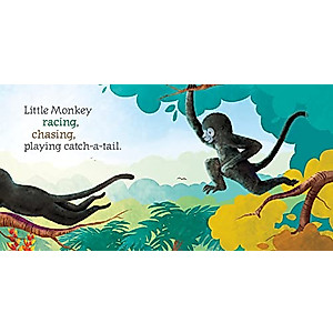 Little Monkey (Little Animal Friends)