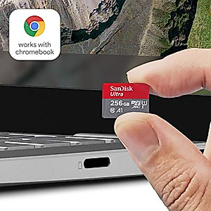 SanDisk 256GB Ultra microSD UHS-I Card for Chromebooks - Certified Works with Chromebooks - SDSQUA4-256G-GN6FA