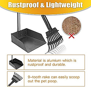 TOOGE Pooper Scooper, Dog Pooper Scooper Long Handle Stainless Metal Tray and Rake for Large Medium Small Dogs Heavy Duty (Green) (A-Standard)