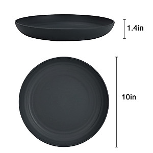 PYRMONT Dinner Plates Set of 8 Unbreakable Wheat Straw Plates 10-inch Large Plates Plastic Plates Reusable Dishwasher and Microwave Safe Unbreakable Plates for Kids (Grey Stone)