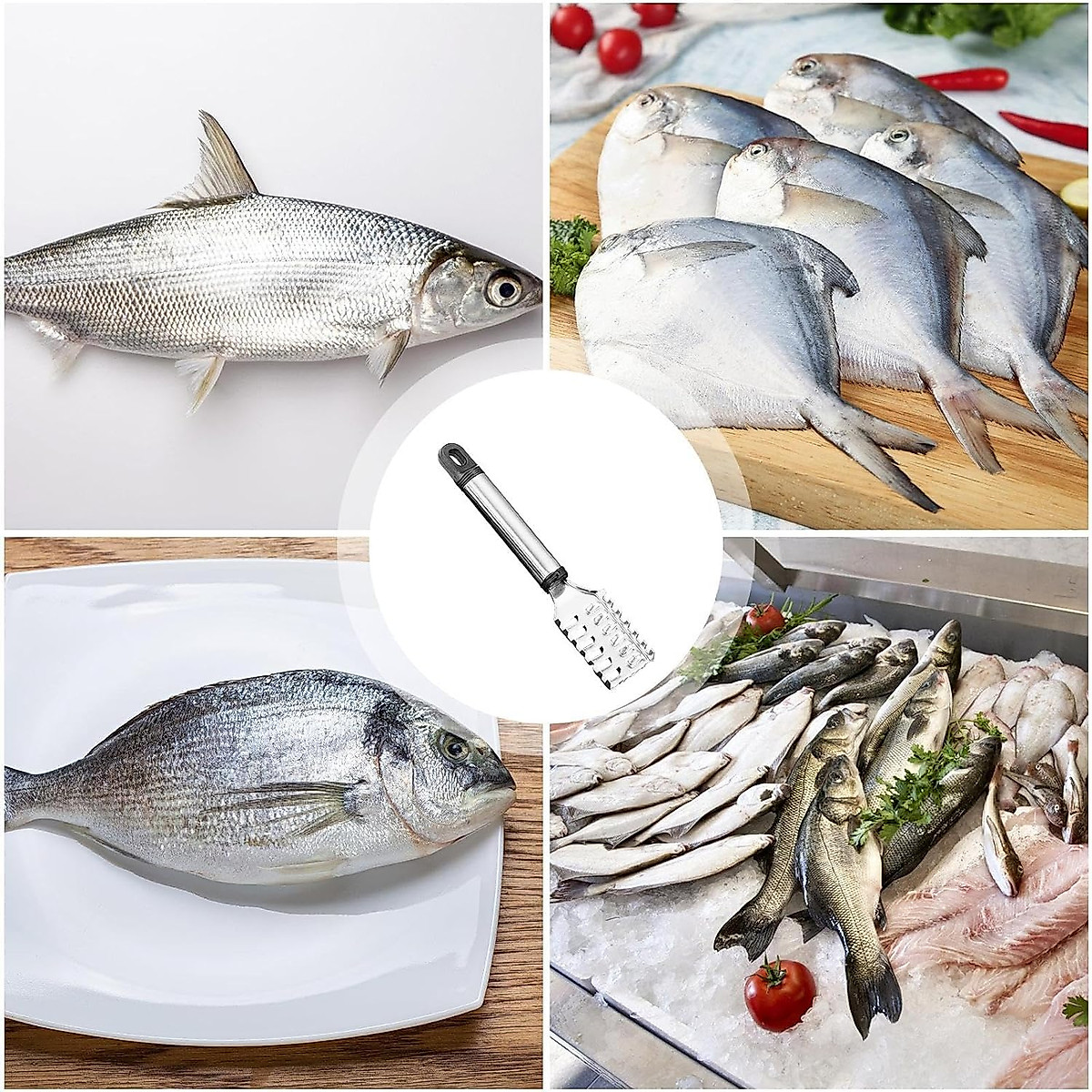Silver Fish Scaler Brush, Remover Cleaner Fish Scaler, Fish Scaler Tool, Fish Skin Graters, Fish Tweezers Scale Tool, Steel Sawtooth Remove Scales, Fish Belly Knife for Fish Scaling Seafood Tools