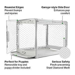 DIGGS Revol Collapsible Dog Crate with Wheels - Premium Portable Dog Crate - Safe, Stylish, and Convenient Indoor Kennel (Ash, Intermediate)