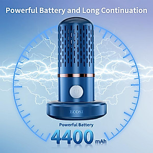 ECOSI Fruit and Vegetable Washing Machine, Portable Fruit Vegetable Purifier Cordless Fruit Cleaner Device in Water Kitchen Gadgets with Titanium OH-ion Purification Tech for Food Cleaning, Blue