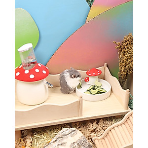 Niteangel Hamster Snack & Treats Toy - Small Animal Natural Treat for Dwarf Syrian Robo Hamsters Gerbils Mice Lemmings Degus or Other Small-Sized Pets (Freeze-Dried Cucumbers)