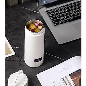 TYEMUI Travel Electric Kettle - Portable Travel Kettle Water Boiler, 380ml Small Electric Travel Tea Kettle, Stainless Steel Hot Water Kettle with 4 Temperature Control, Auto Shut-Off