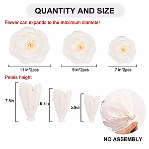 BEISHIDA 6 Pieces Paper Flower Decoration Supplies for Party Decoration, Wedding Decoration, Background Wall, Room Decoration, Bridal Shower, Baby Shower (White)